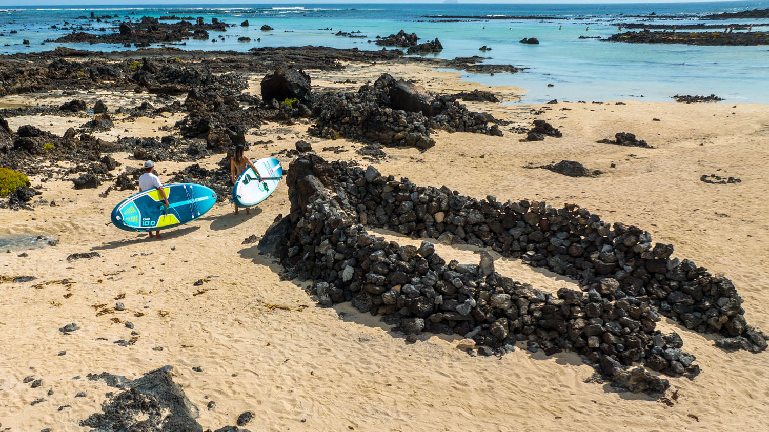 ONE SPOT A DAY WITH THE CHIP! – GONG Galaxy