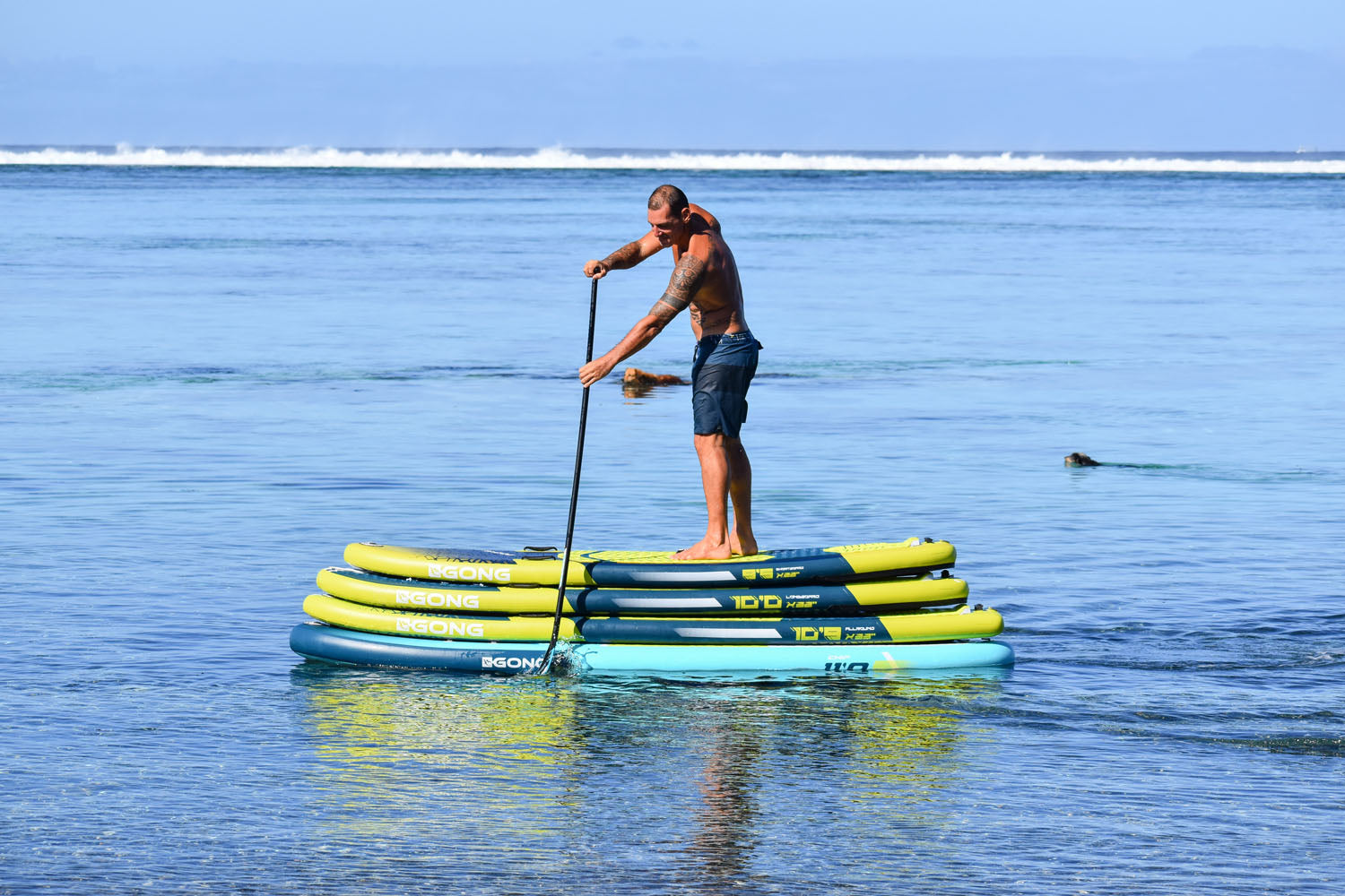 PHOTO : STABILITÉ DE LA CHIP ? – GONG Galaxy