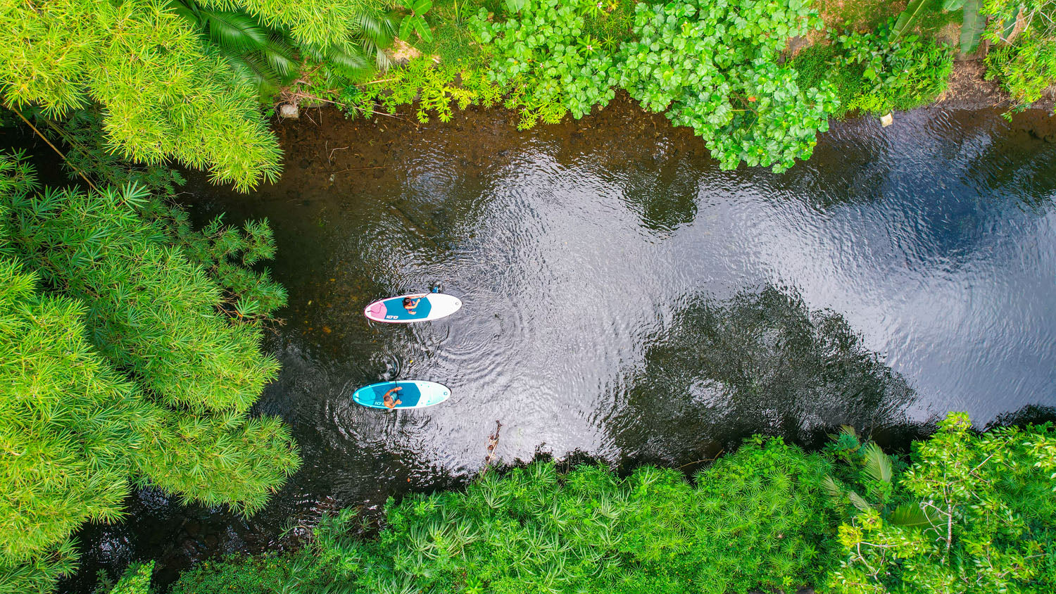 PHOTO: IN NATURE WITH THE FIRST ALLROUND! - GONG Galaxy
