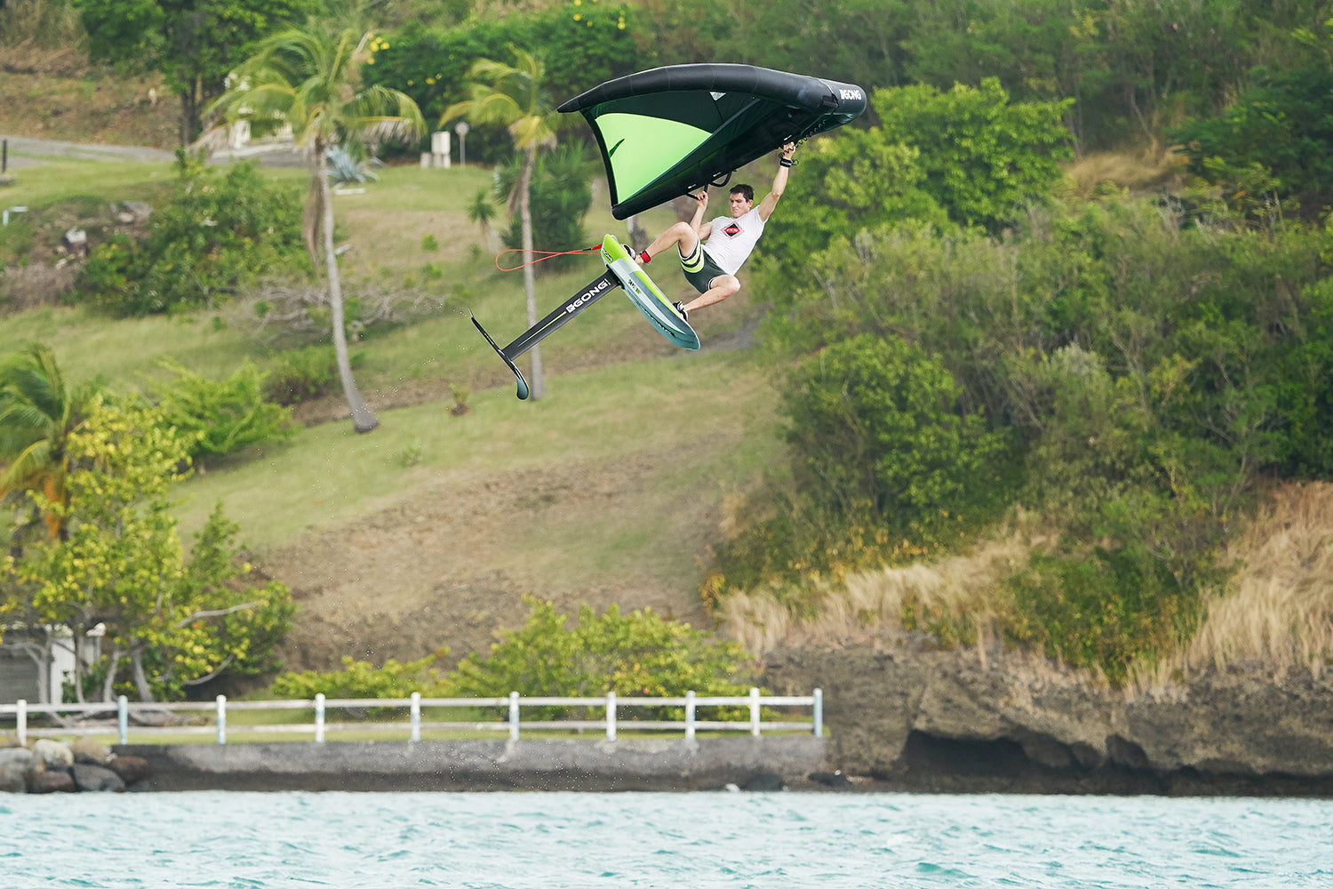 PHOTO: A WING OF MANY FACES !!! – GONG Galaxy