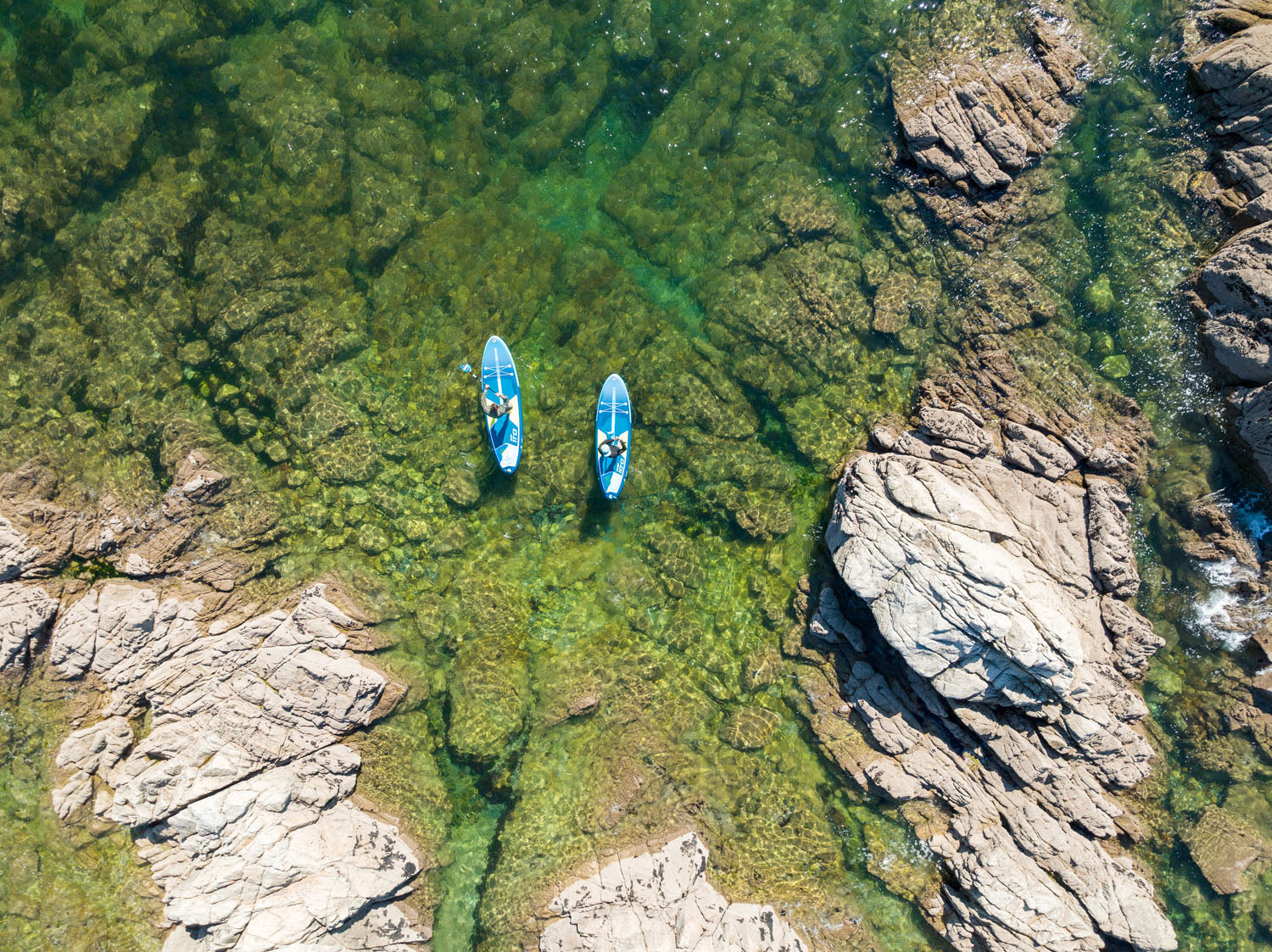 PHOTO: OVER THE SURFACE WITH YOUR CHIP! – GONG Galaxy