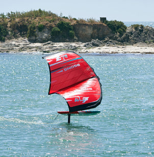 MOVIE : just winging it !!! – GONG Galaxy